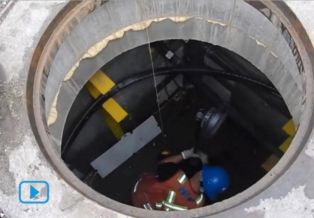 Reality Capture – Turn Ordinary Images into 3D Models | TD SYNNEX ...